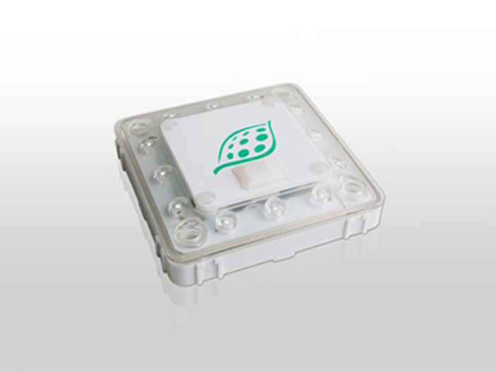 Solar Muscle - Group ILS